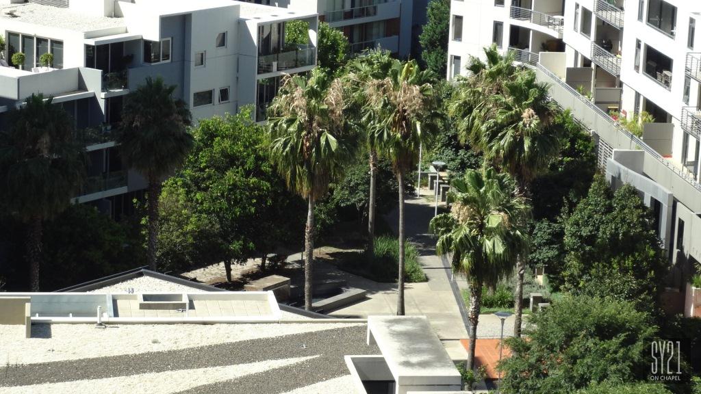 SY21 Gallery: SY21 rooftop views